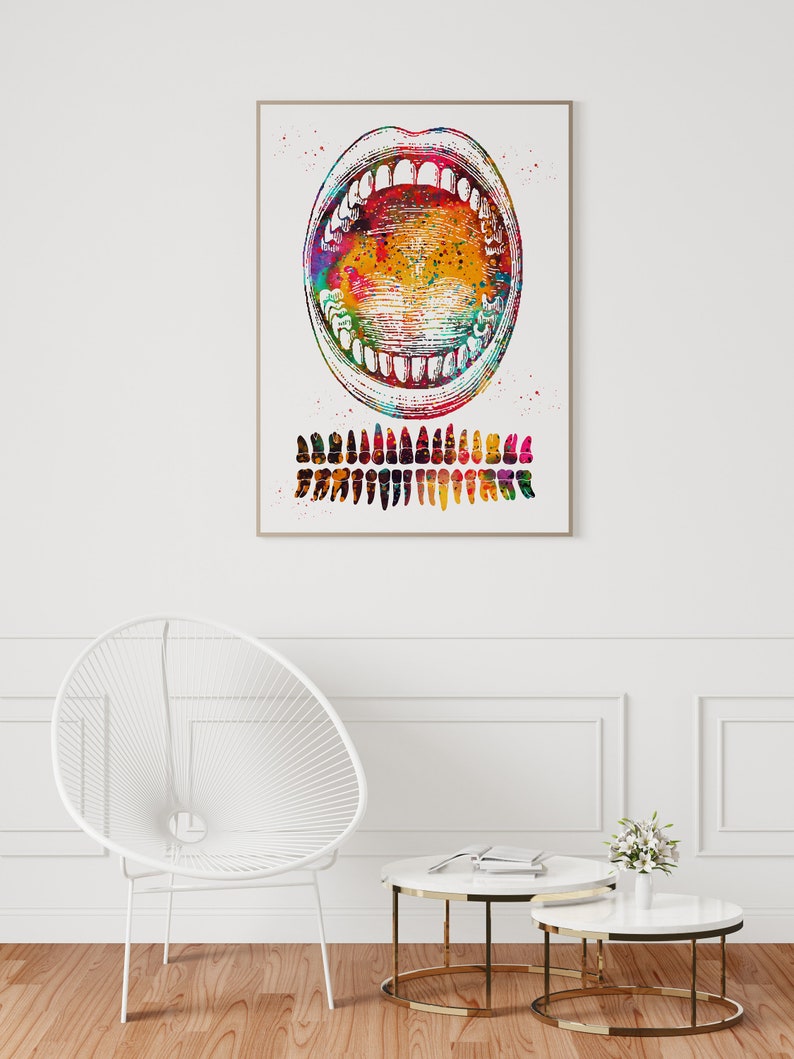 Tooth Chart Human Teeth Dental Hygienist Gift Dentist Teeth - Etsy