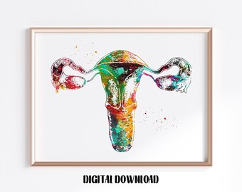 Female Reproductive Poster - Etsy