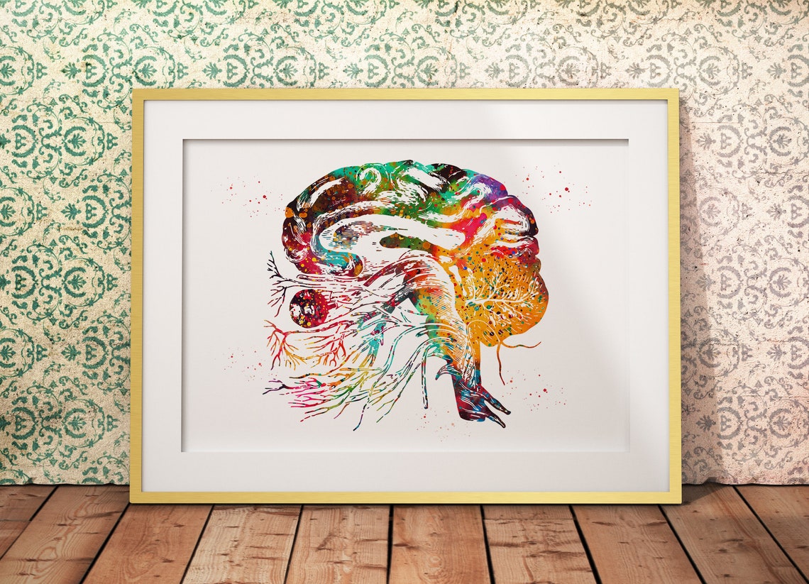 Brain Cranial Nerves Art Brain Anatomy Poster Watercolor - Etsy