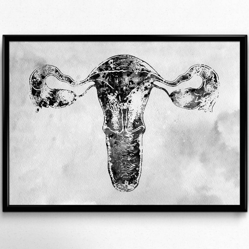 Female Reproductive System Watercolor Uterus Anatomy Etsy