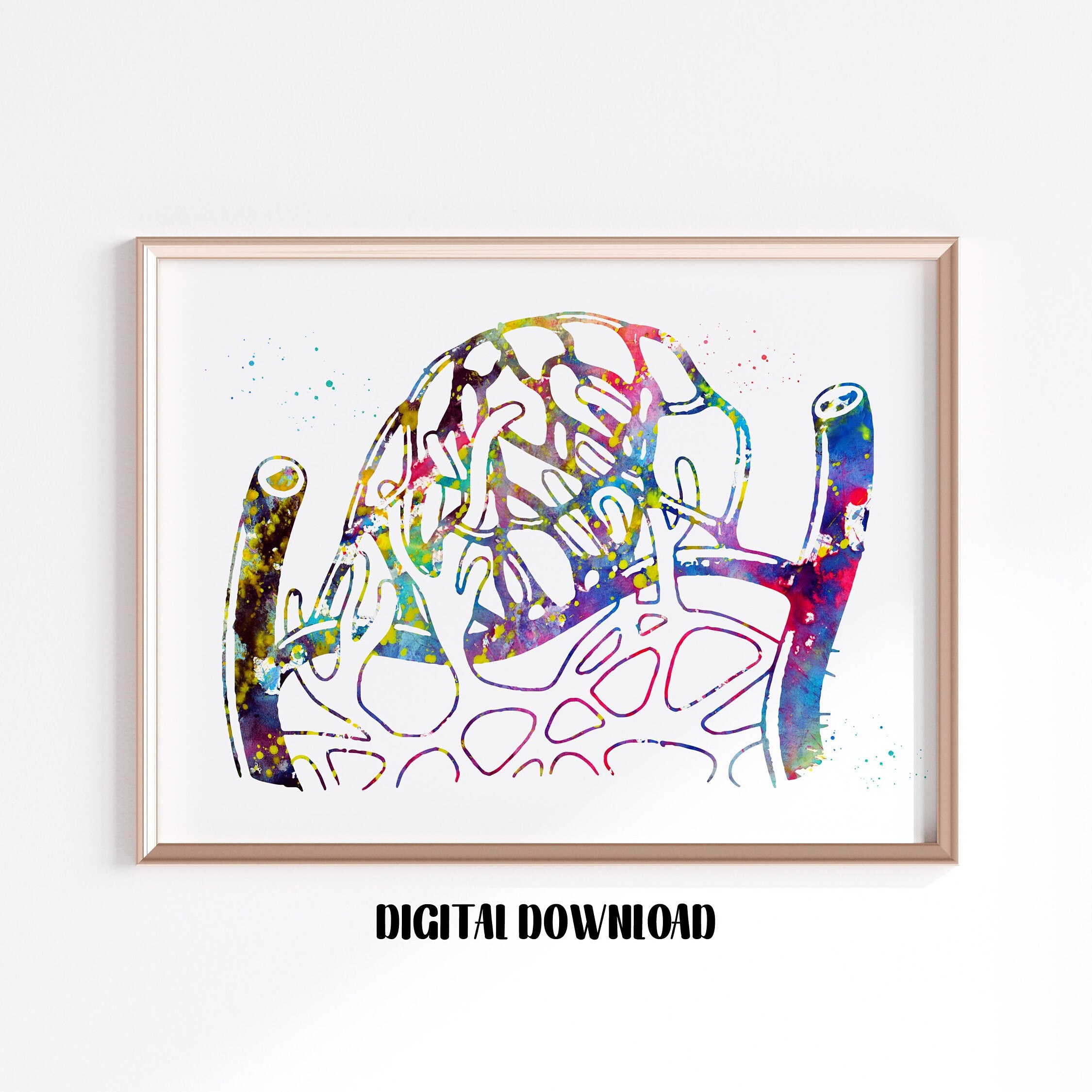 Lymphatic Capillaries in the Tissue Spaces Lymph Poster - Etsy