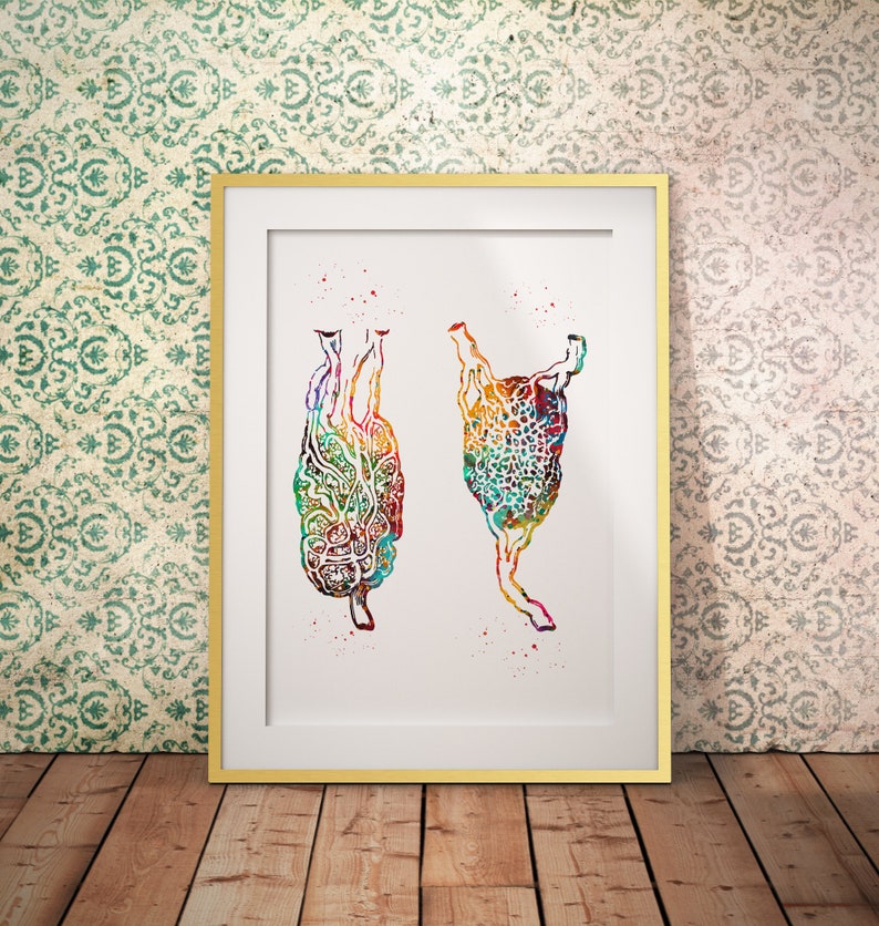 Lymph Node the Anatomical Structure of the Lymph Biology - Etsy