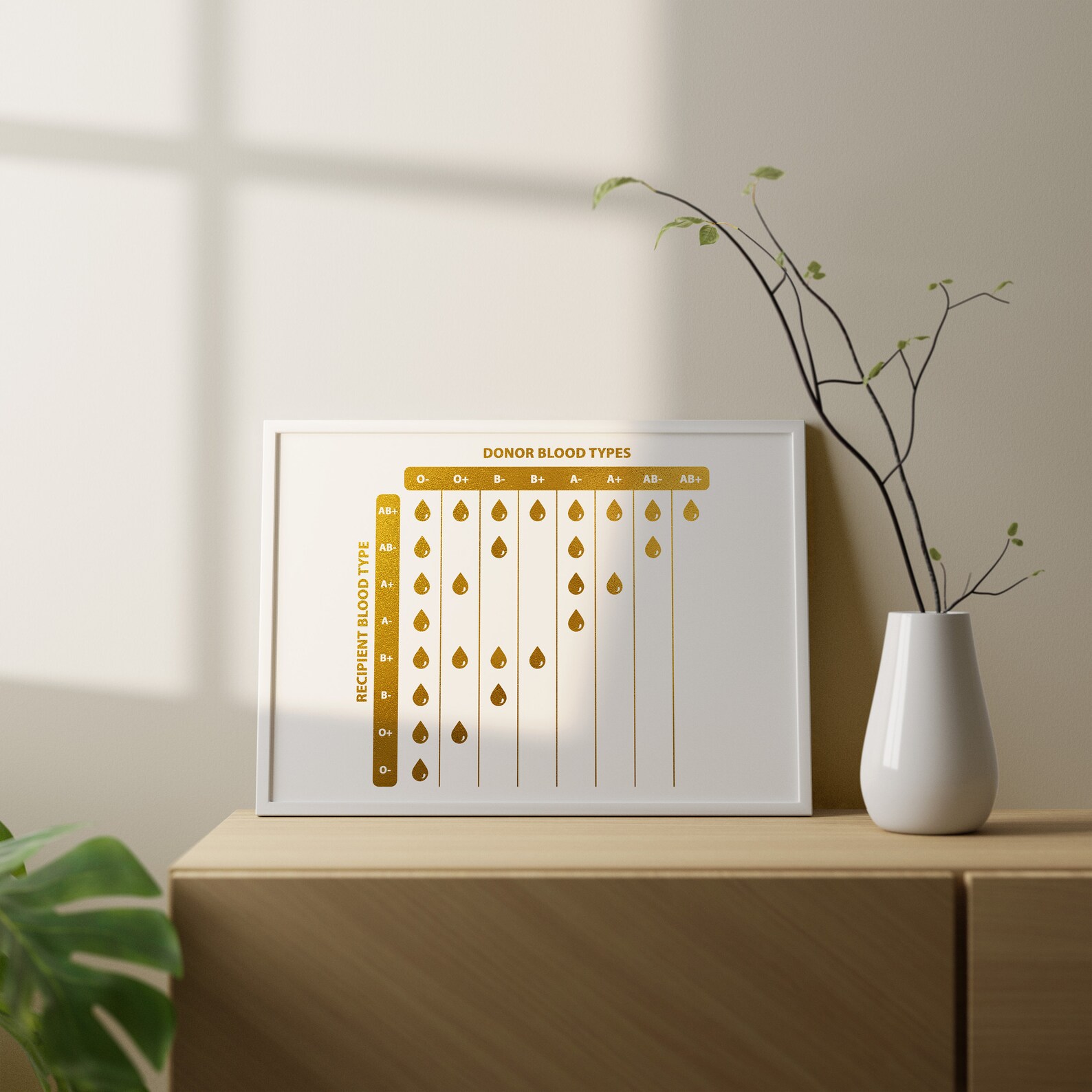 Human Blood Donor Compatibility Chart Biology Hematology A B | Etsy
