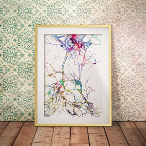 Human Cells Anatomy and Cell Biology Neurology Poster Neuron Cells ...