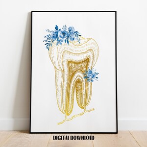 Human Tooth Structure Tooth Cross Section Teeth Surgeon Dental Floral ...