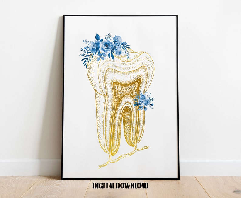 Human Tooth Structure Tooth Cross Section Teeth Surgeon Dental - Etsy