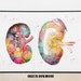 The Kidneys Anatomy Urology Illustration Human Kidneys Poster Medical ...