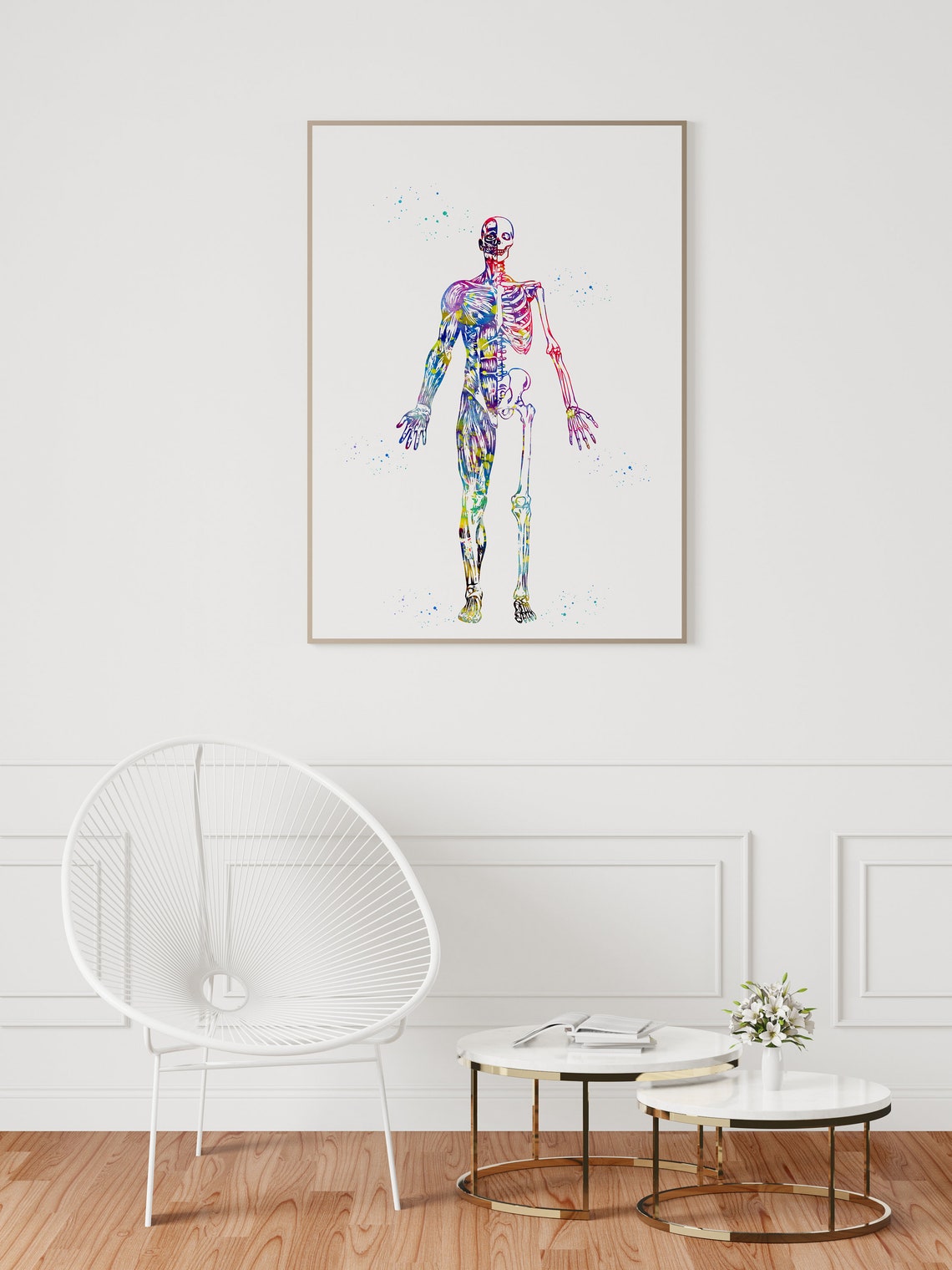Bones and Muscles Anatomy Musculoskeletal System Front View - Etsy