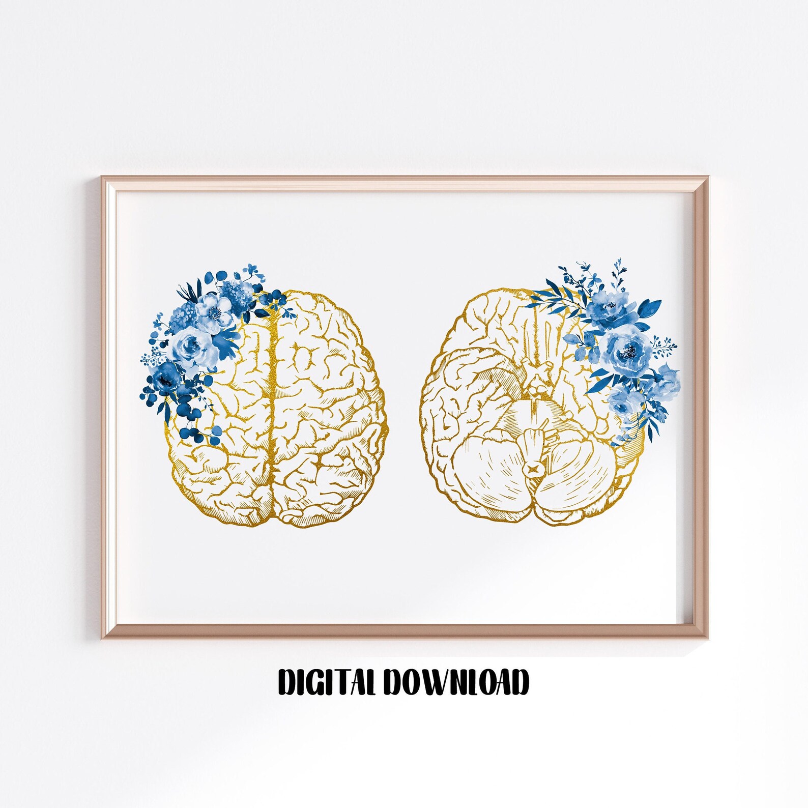 Human Brain Scheme Brain Anatomy Human Brain Science - Etsy