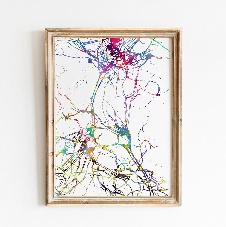 Human Cells Anatomy and Cell Biology Neurology Poster Neuron | Etsy