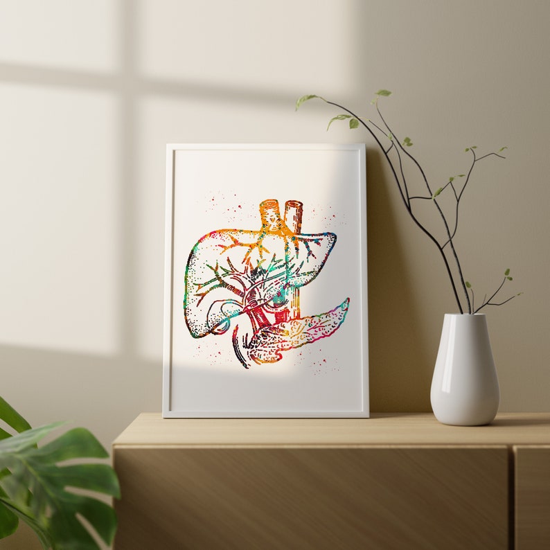 Human Liver Poster Medical Science Watercolor Digital Printable ...