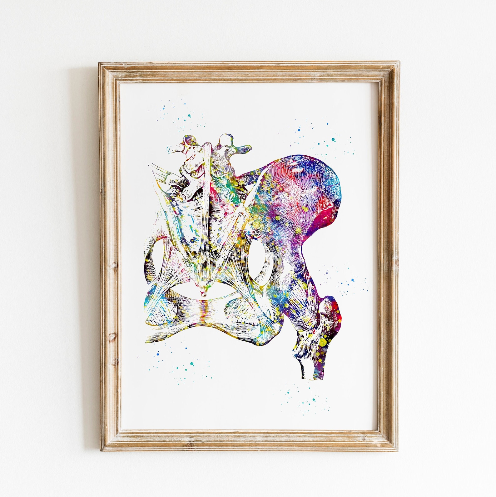 Hip Bone Ligaments and Joint Poster Medical Science Watercolor | Etsy