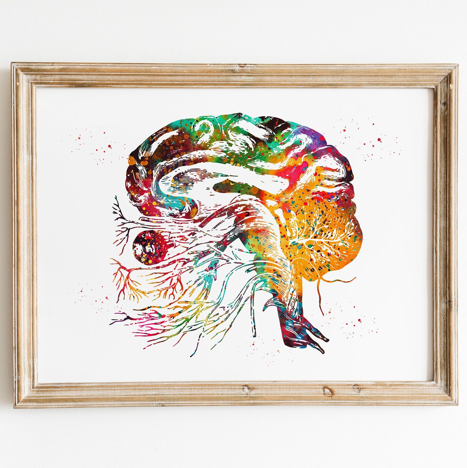 Brain Cranial Nerves Art Brain Anatomy Poster Watercolor - Etsy