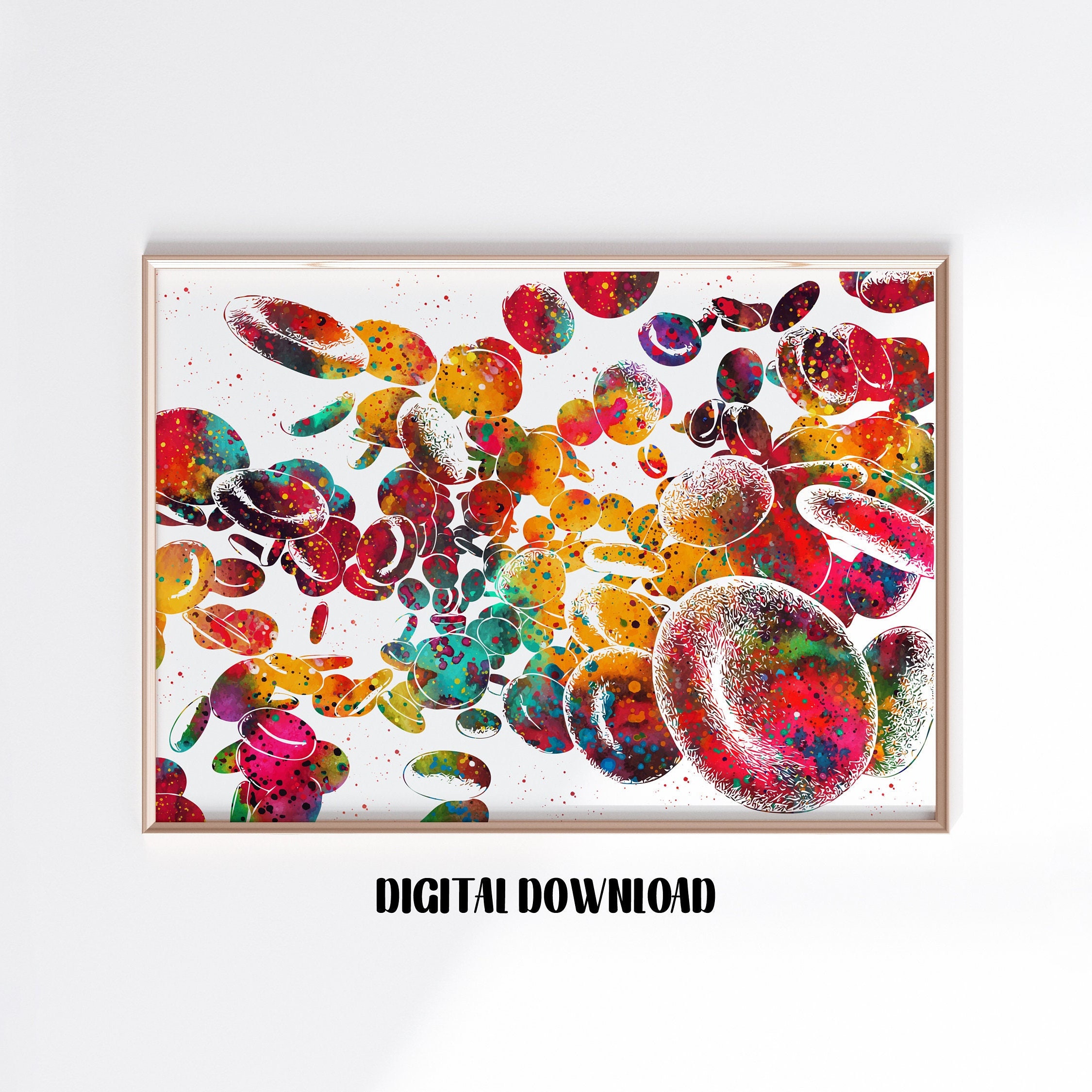 Red Blood Cells Blood Histology Hematology Poster Medical - Etsy