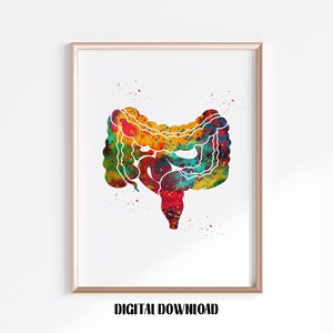 Large and Small Intestine Poster Medical Science Watercolor Digital ...