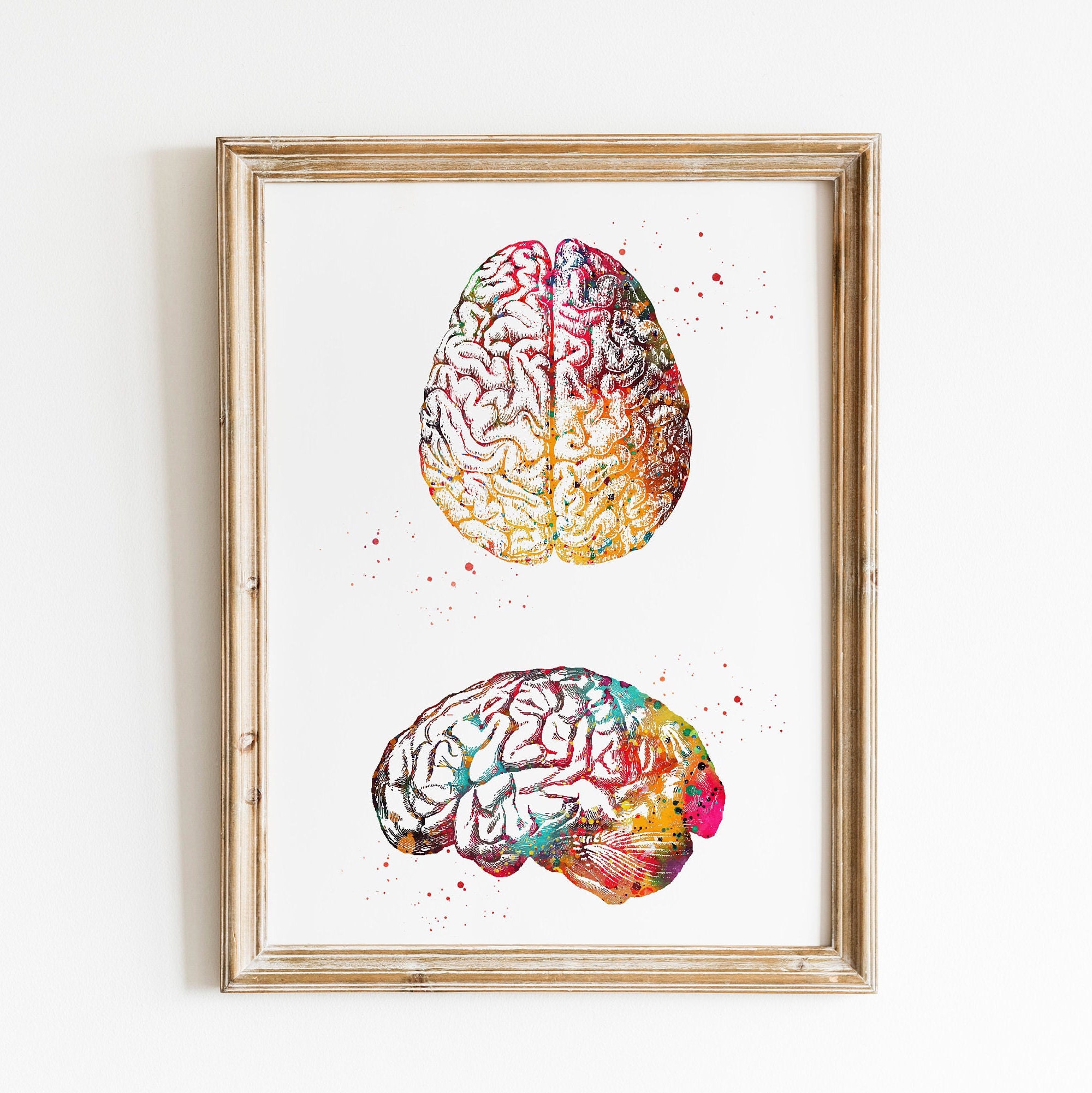 Human Brain Anatomy Poster Medical Science Watercolor Digital - Etsy