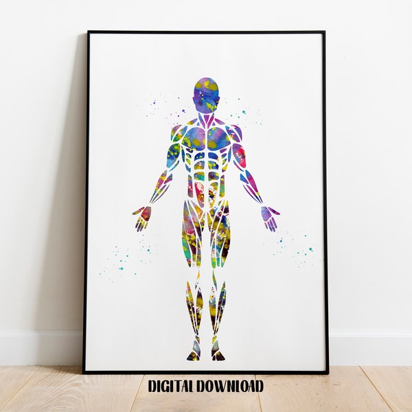 Human Body System Poster - Etsy