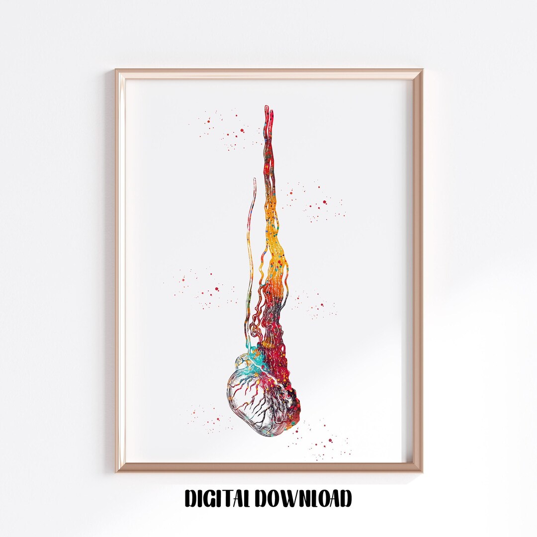 Veins of Testicles Vascular System Poster Medical Science Watercolor ...