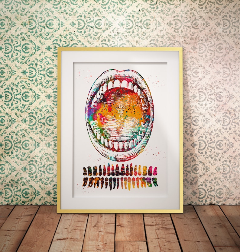 Tooth Chart Human Teeth Dental Hygienist Gift Dentist Teeth - Etsy