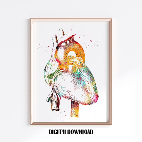 Human Heart Anatomy Surgery Poster Medical Science Watercolor - Etsy