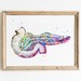 Pancreas Human Anatomy Internal Organs Poster Medical Science ...