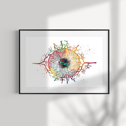 Optometrist Gift Optician Wall Art Optometry Print | Etsy