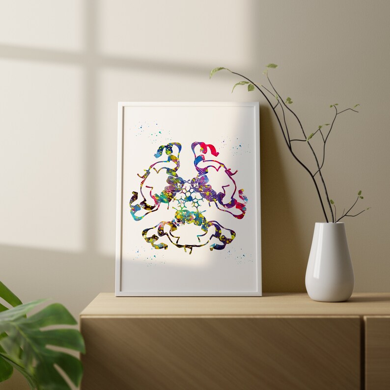 Insulin Structure Poster Diabetes Medication Endocrinology - Etsy