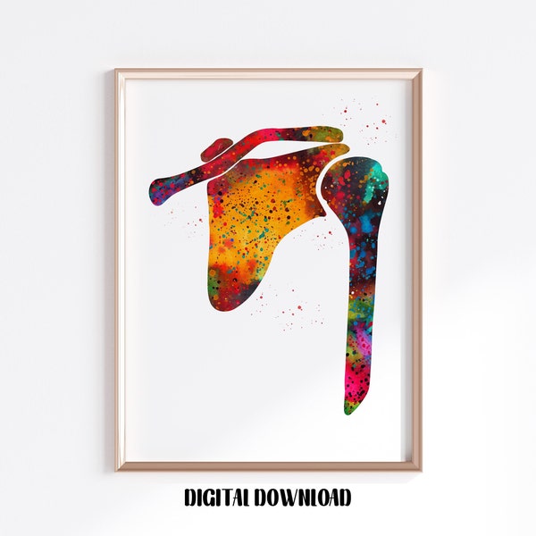 Shoulder Anatomy Poster - Etsy