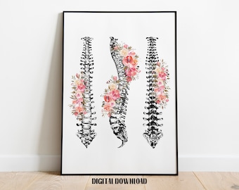 Human Spine With Brain Spinal Cord Anatomy Vertebral Column Poster ...