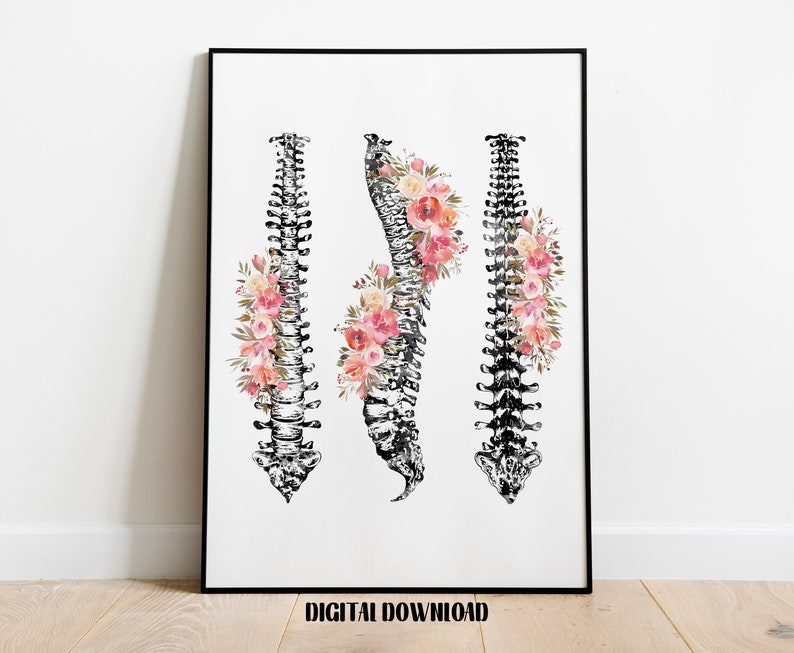 Human Spine Spinal Cord Anatomy Vertebral Column Poster - Etsy