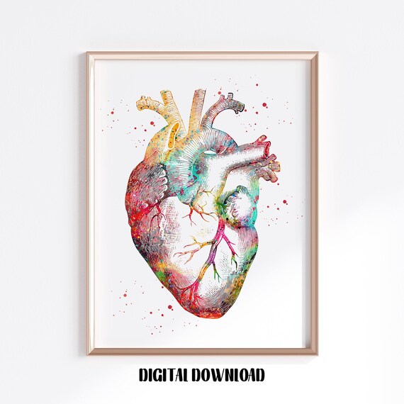 Human Heart Poster Anatomy Surgery Anatomical Medical Science | Etsy