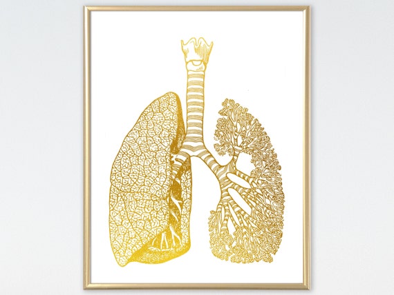 Lungs Anatomy Art Alveolar Respiratory System Human Lungs | Etsy