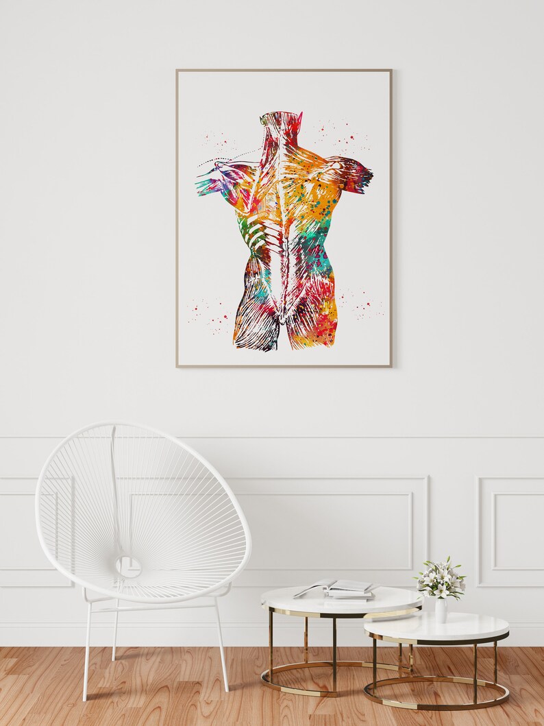 Back Muscles Human Muscles Anatomy Body Anatomical Biology | Etsy