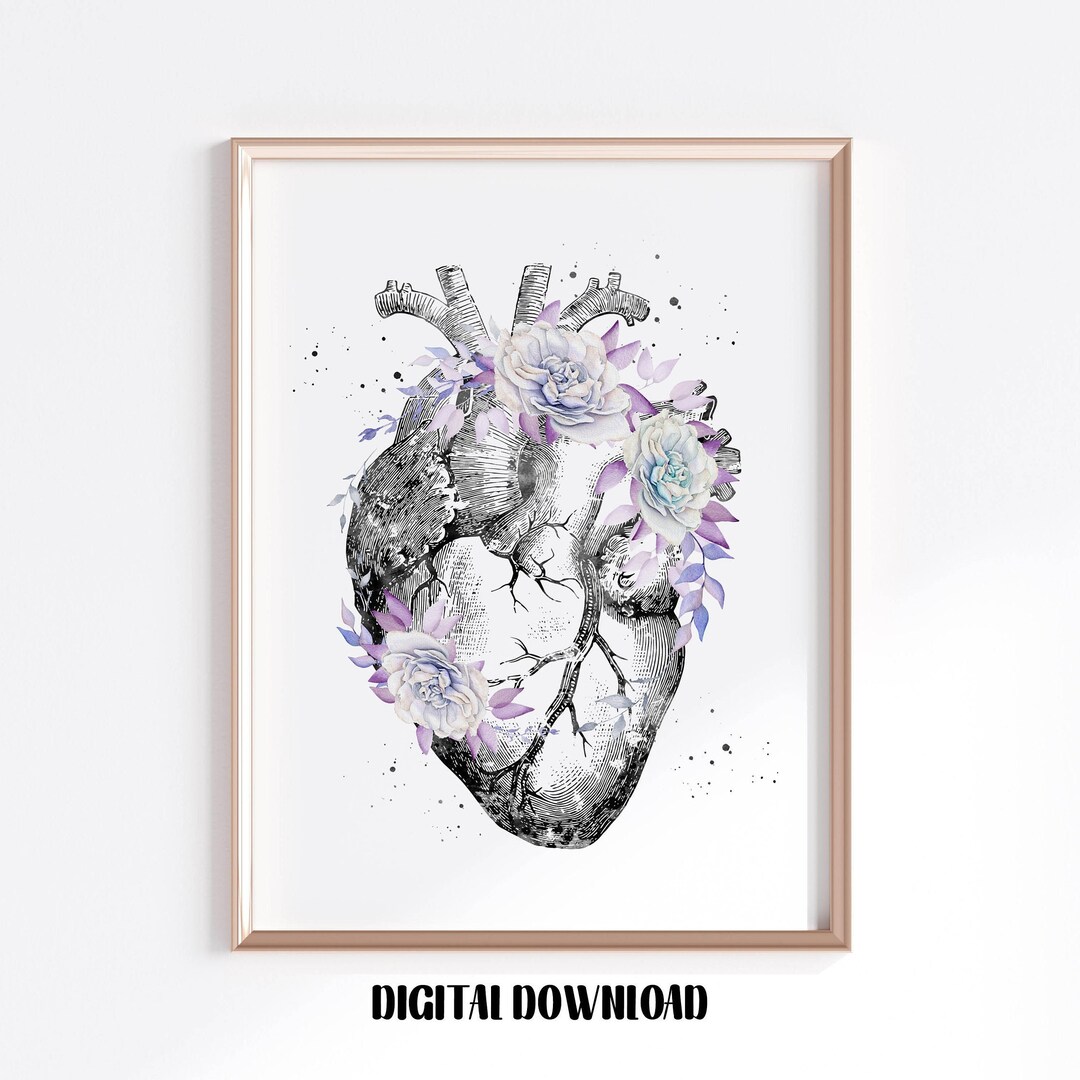 Human Heart Anatomy Surgery Anatomical Poster Medical Science ...