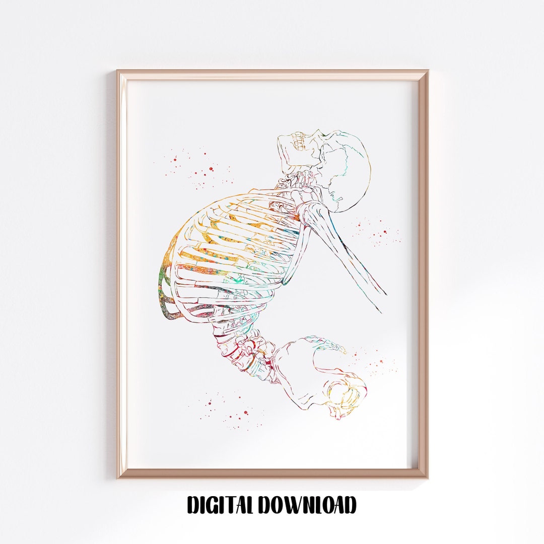 Skeleton Torso Human Skeleton Anatomy Art Poster Medical - Etsy