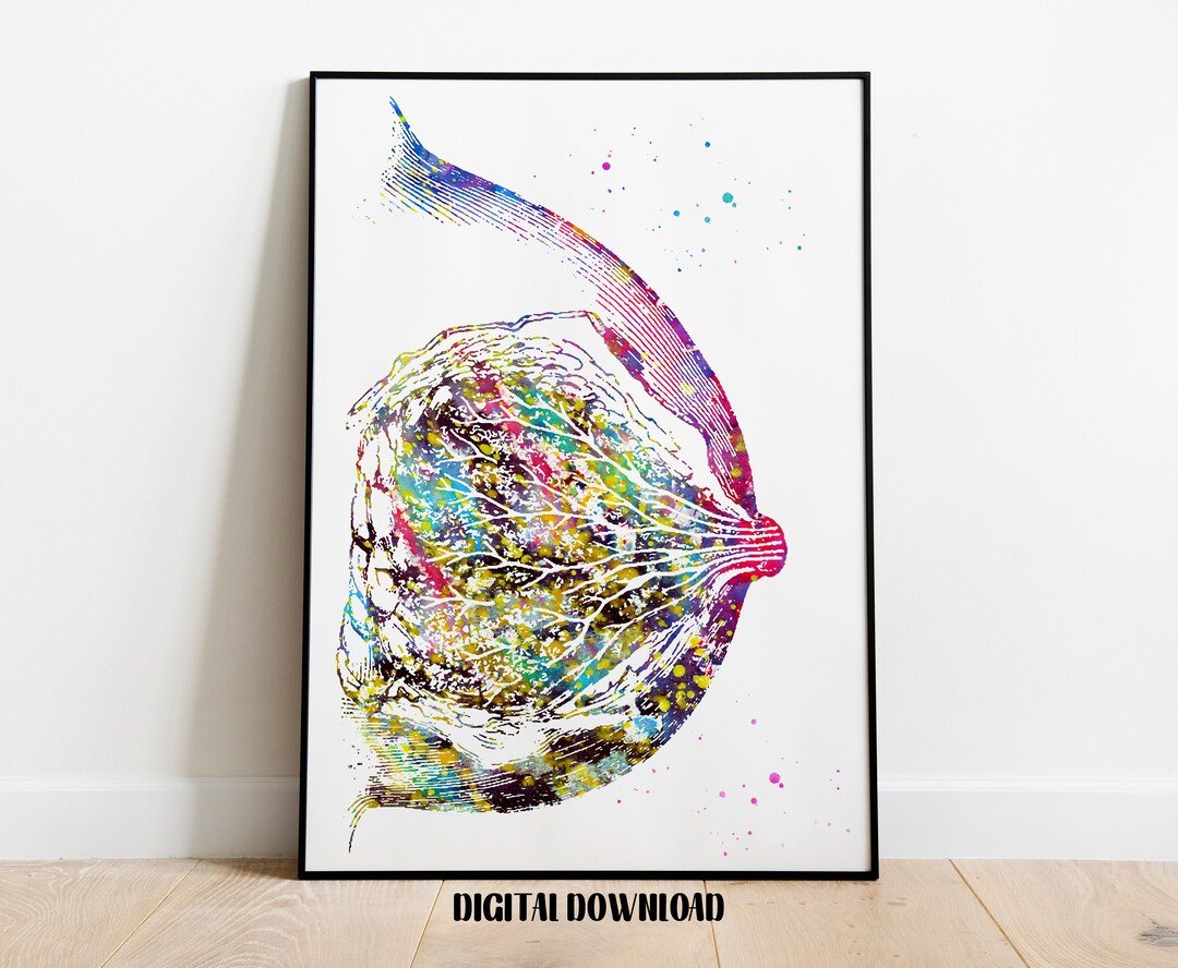 Breast Anatomy Mammary Gland Endocrine System Poster Medical - Etsy