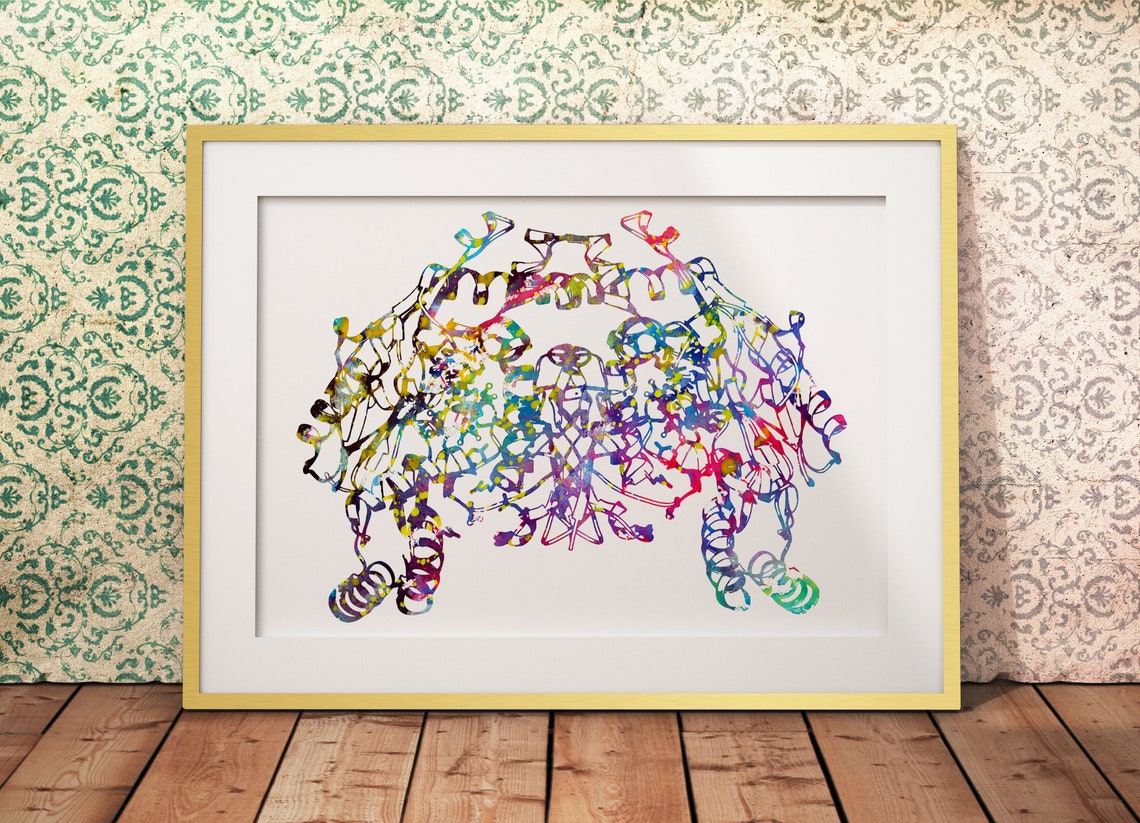 Nitric Oxide Synthase Molecule Anatomy Biology Poster Medical - Etsy