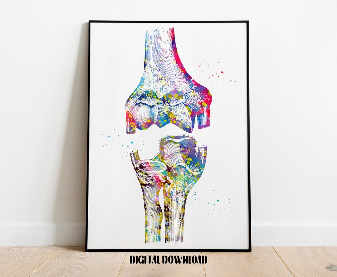 Elbow Anatomy Joints Ligaments and Tendons Orthopedic Surgery Poster ...