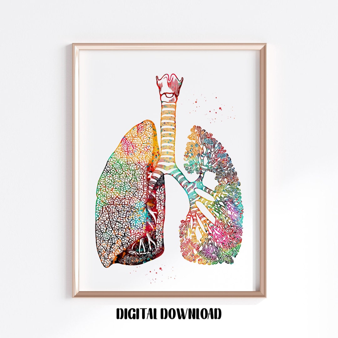 Lungs Anatomy Watercolor Print: Respiratory System Art (digital ...