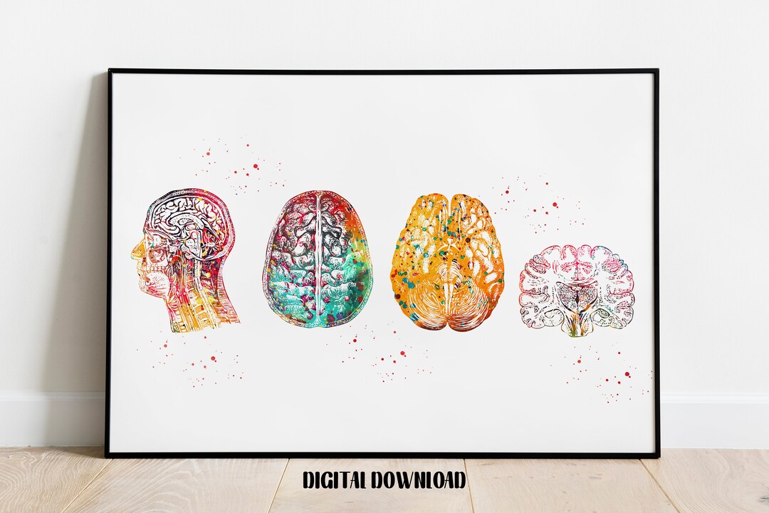 Human Brain Poster Medical Science Watercolor Digital Printable ...