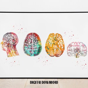 Human Brain Poster Medical Science Watercolor Digital Printable ...