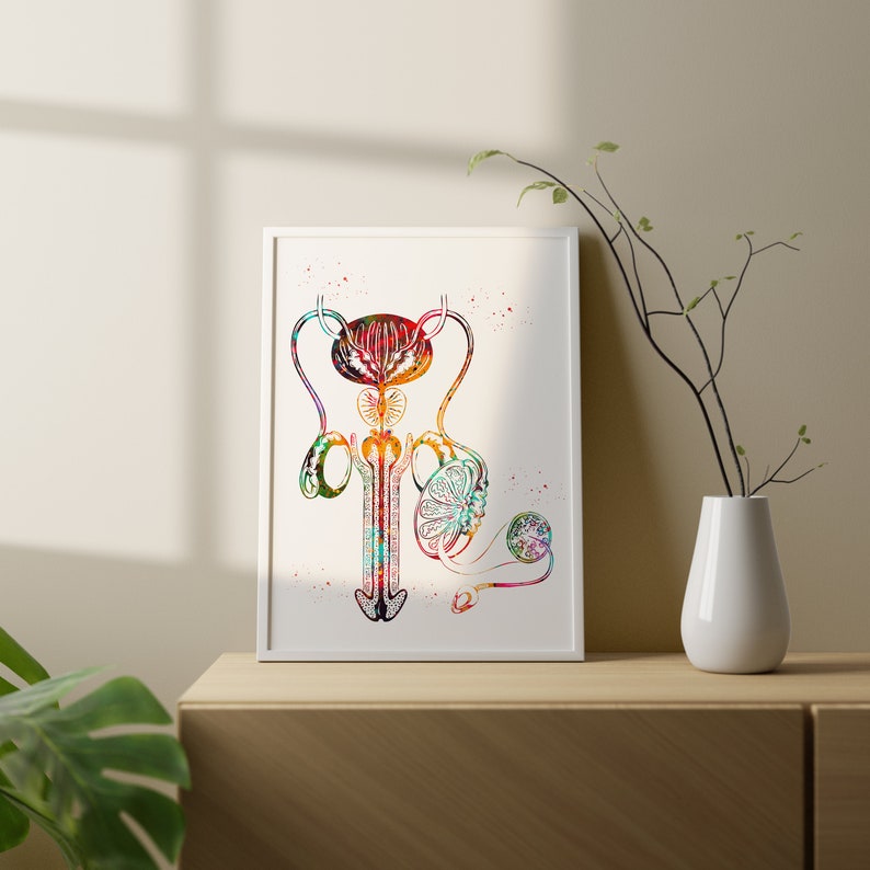Human Male Reproductive System Anatomy Poster Medical Science - Etsy