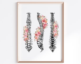 Human Spine Spinal Cord Anatomy Art Vertebral Column Poster | Etsy Canada
