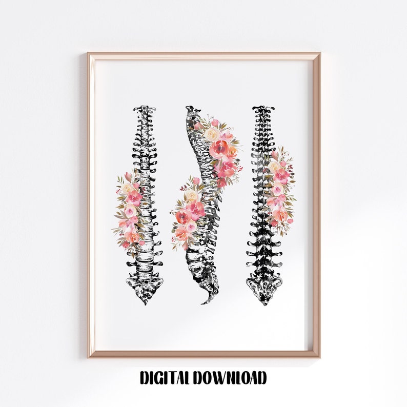 Human Spine Spinal Cord Anatomy Vertebral Column Poster - Etsy