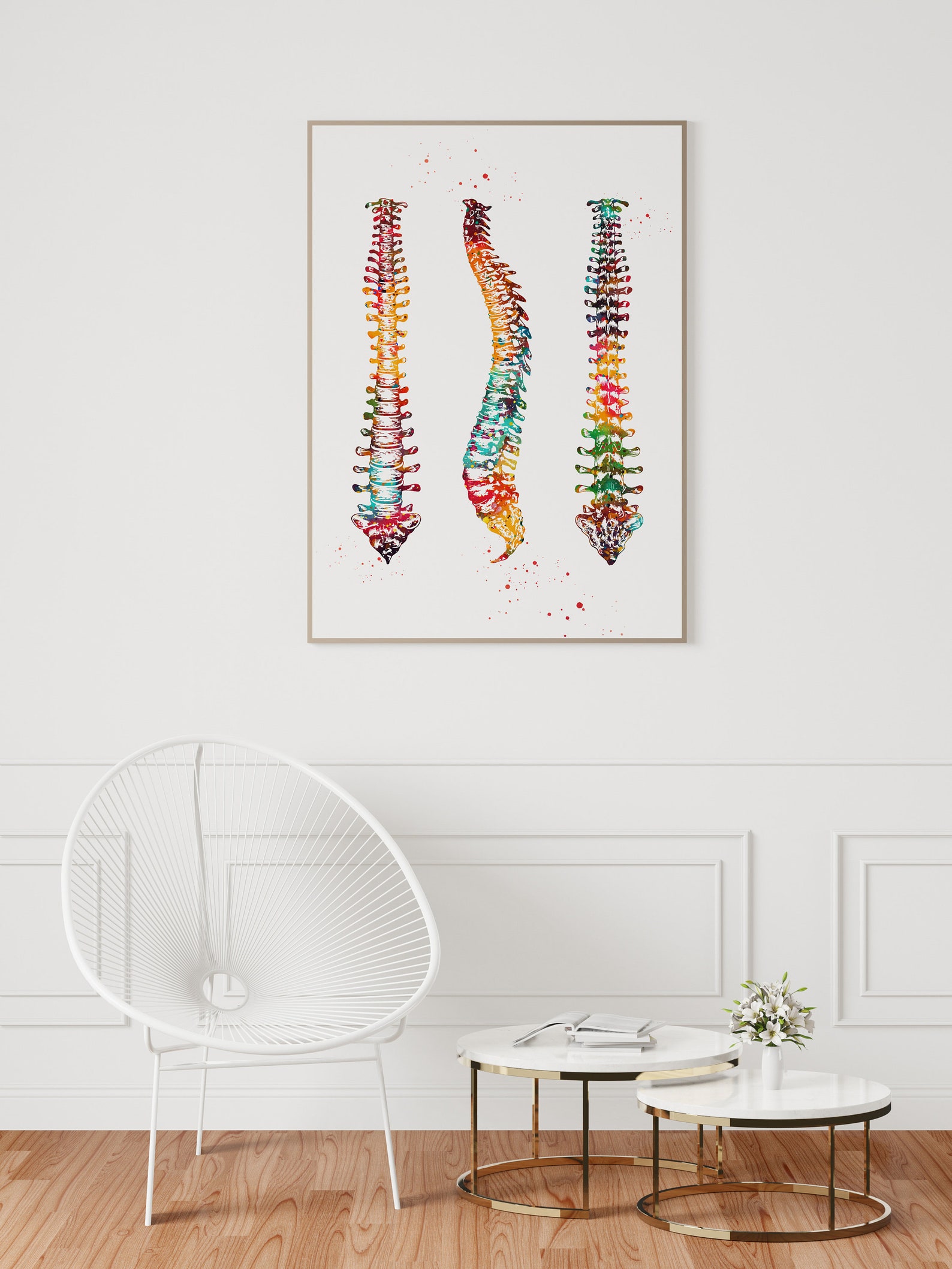 Spine Anatomy Art: Watercolor Vertebral Column Poster (digital Download ...