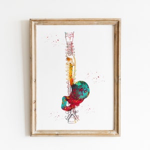 Esophagus and Stomach Anatomy Digestive System Biology Poster Medical ...