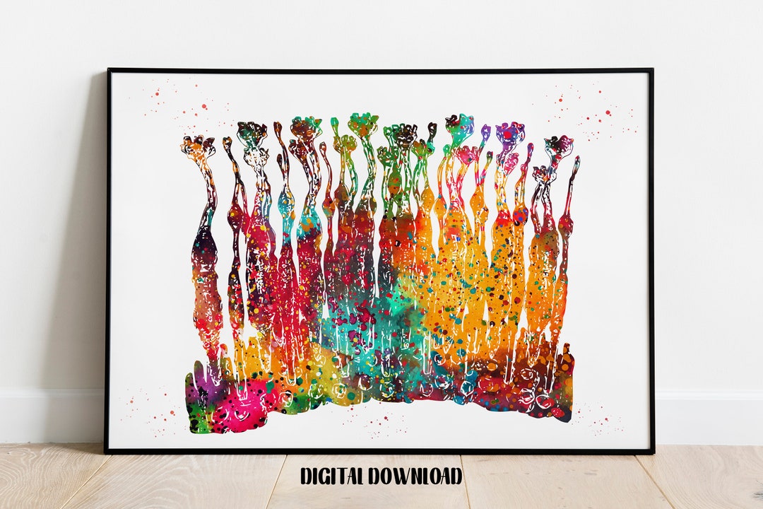 Eye Retina Poster Medical Science Watercolor Digital Printable Download ...