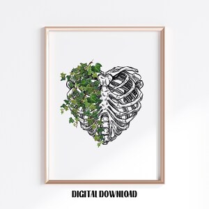Ivy Heart Shape Rib Cage Skeleton Art Wall Decor Poster - Etsy