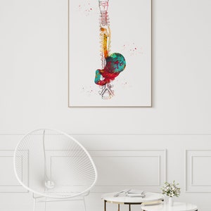 Esophagus and Stomach Anatomy Digestive System Biology Poster Medical ...