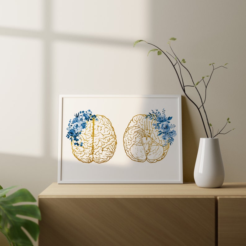 Human Brain Scheme Brain Anatomy Human Brain Science - Etsy